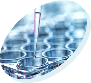 Analytical Method Development & Validation